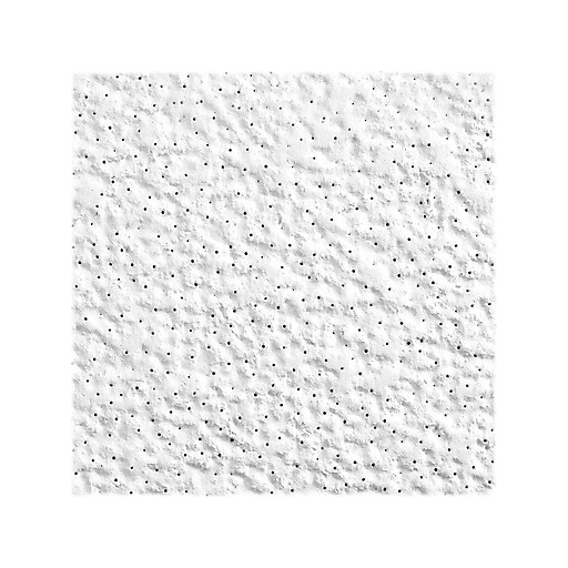 Armstrong ARMATUFF Lay-In Square Edge Ceiling Tile, 24" x 48", White, 8 ...