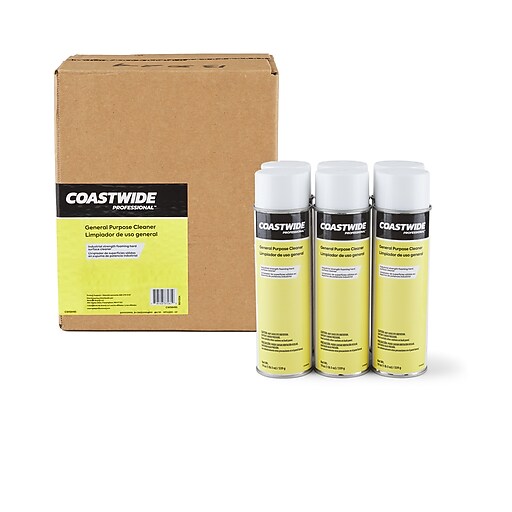 Coastwide Professional™ General-Purpose Cleaner, 19 Oz., 6/Carton ...