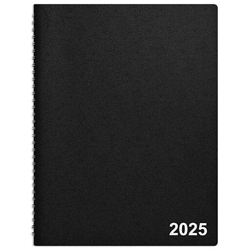 2025 Staples 8" x 11" Weekly & Monthly Appointment Book, Assorted ...
