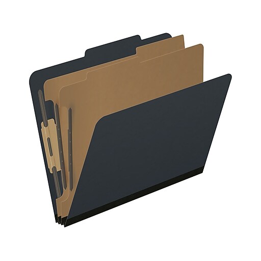 Medical Arts Press Pressboard Classification Folder, 2 Dividers, 2 ...