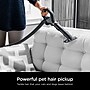 Shark Navigator Swivel Pro Upright Bagless Vacuum, Paprika (NV181 ...