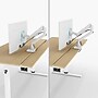 Arozzi Arena Nordico 55"W Electric Adjustable Standing Desk, Birch ...