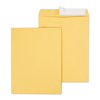 10" x 13" Envelopes | Staples