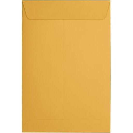 JAM Paper Catalog Envelope 6" x 9", Brown Kraft Manila, 50/Pack (1693i ...