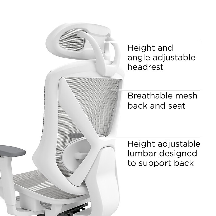 Flexfit dexley chair store