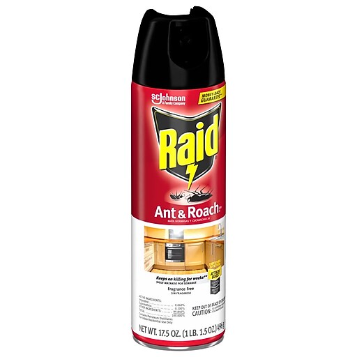 Raid Ant & Roach Killer 26 Aerosol for Ants & Roaches, Fragrance Free ...
