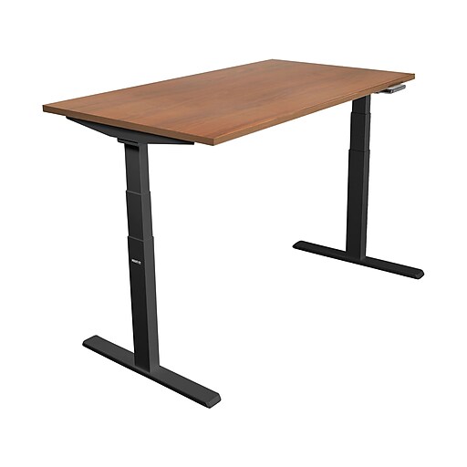Mount-It! Ultimate 55"W Electric Rectangular Adjustable Standing Desk ...