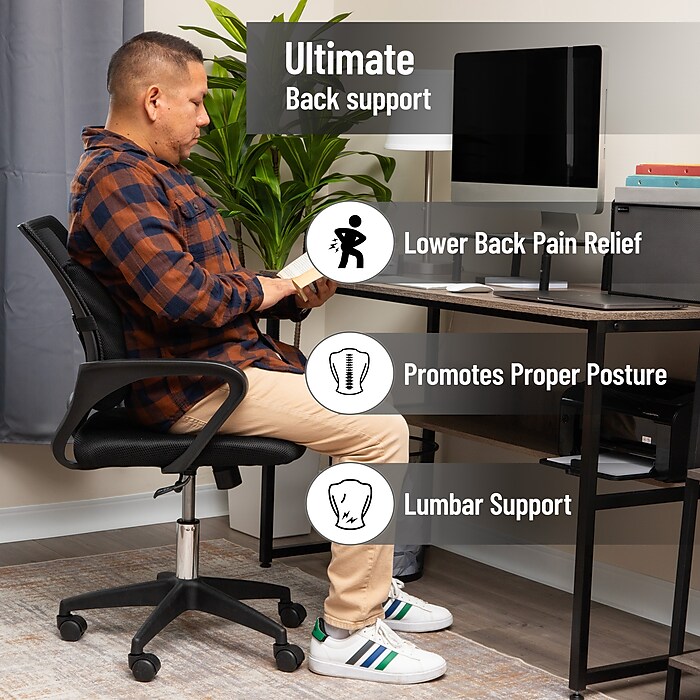 Staples back support for office chair store
