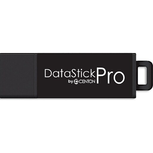 Centon DataStick Pro 256GB USB 3.2 Type-A Flash Drive, Black (C1-U3P6 ...