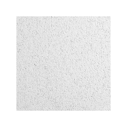 Armstrong CERAMAGUARD Square Edge Ceiling Tile, 24" x 48", White, 6 ...