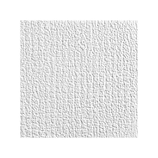 Armstrong SHASTA Square Lay-In Edge Ceiling Tile, 24" x 48", White, 16 ...