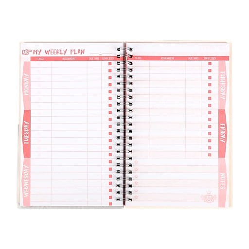 Pep Rally Assignment Notebook, 5.75" x 8.25", 81 Sheets, Assorted ...