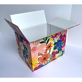 Mailers & Shipping Boxes | Staples