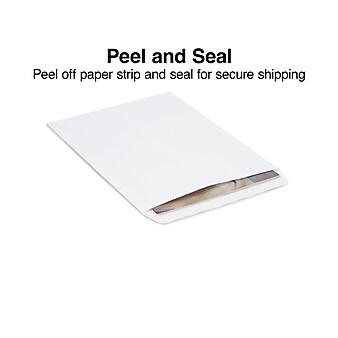 Large Envelopes | Staples