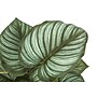 Monarch Specialties Inc. 13" Artificial Epipremnum in Pot, 2/Set (I ...