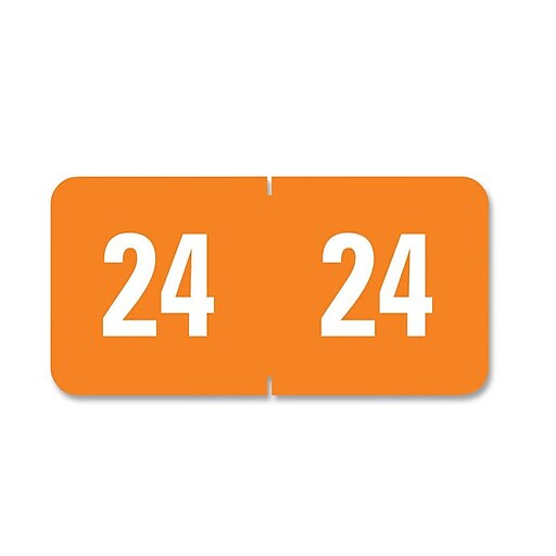 Medical Arts Press Smead Compatible Small End-Tab 2024 Year Label ...