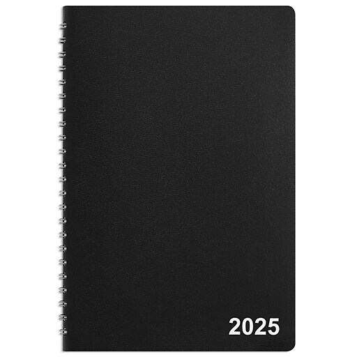 2025 Staples 5" x 8" Weekly & Monthly Planner, Each (ST12946-25) | Staples