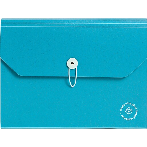 U Brands U-Eco Poly Expandable Folder, 13-Pocket, Letter Size, Ocean ...