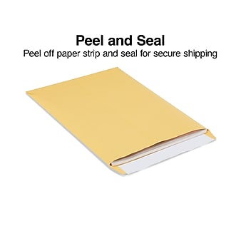 10" x 13" Envelopes | Staples