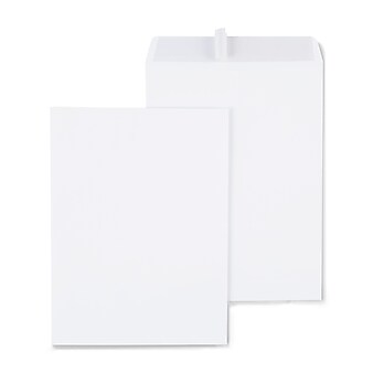 Large Envelopes | Staples