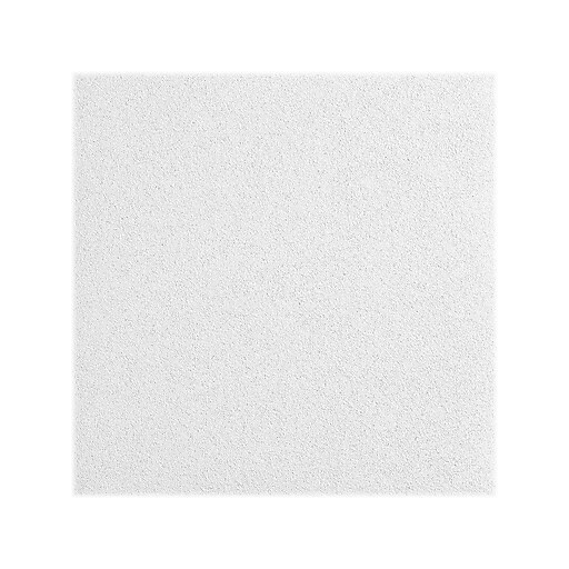 Armstrong LYRA Plant-Based Square Lay-In Ceiling Tile, 24" x 48", White ...