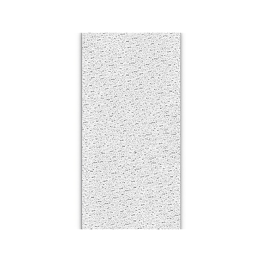 Armstrong FISSURED Square Lay-In Edge Ceiling Tile, 24" x 48", White ...