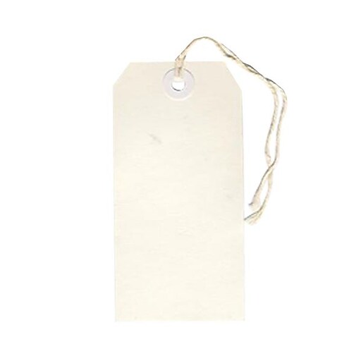 JAM Paper® Gift Tags with String, Small, 3 1/4 x 1 5/8, White, 100/pack ...