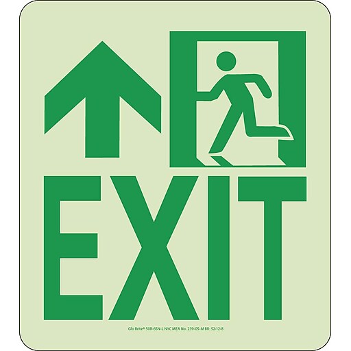 NYC Wall Mont Exit Sign, Forward/Left Side, 9X8, Rigid, 7550 Glo Brite ...