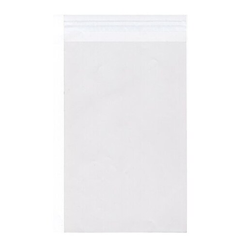 JAM Paper Cellophane Envelope with Self-Adhesive Closure, 11.25 x 14.25 ...