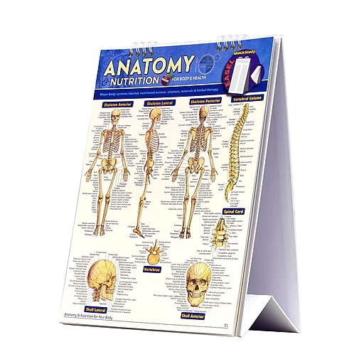 BarCharts, Inc. QuickStudy® Anatomy & Nutrition's Easel Reference Set ...