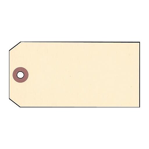 NAHANCO 3 1/4" x 1 5/8" Strung All Purpose Tag, Manila, 1000/Pack | Staples