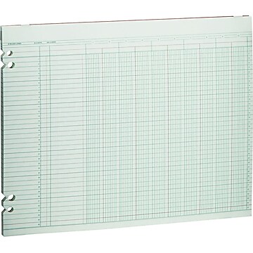 ledger sheets | Staples