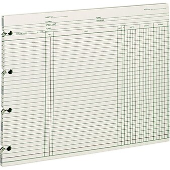 Wilson Jones Accounting & Record Journals | Staples