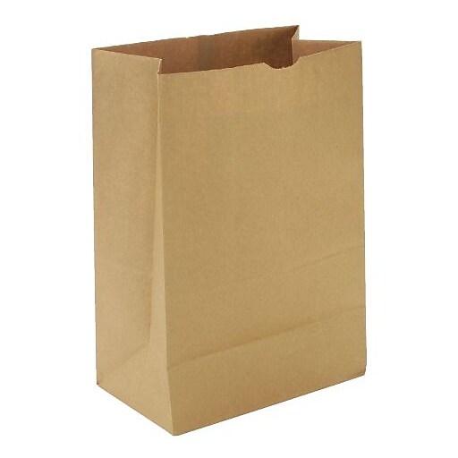 AJM 17" x 12" x 7" Paper Food Bags, Brown, 500/Bundle (BAGSK1657) | Staples