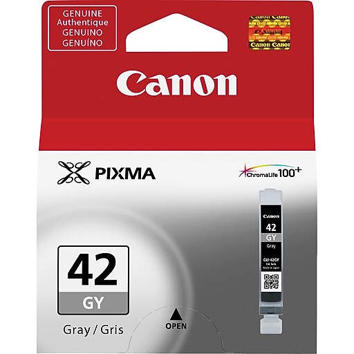 Canon 42 Gray Standard Yield Ink Cartridge (6390B002) | Staples