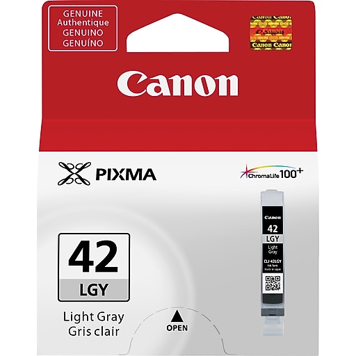 Canon 42 Light Gray Standard Yield Ink Cartridge (6391B002) | Staples