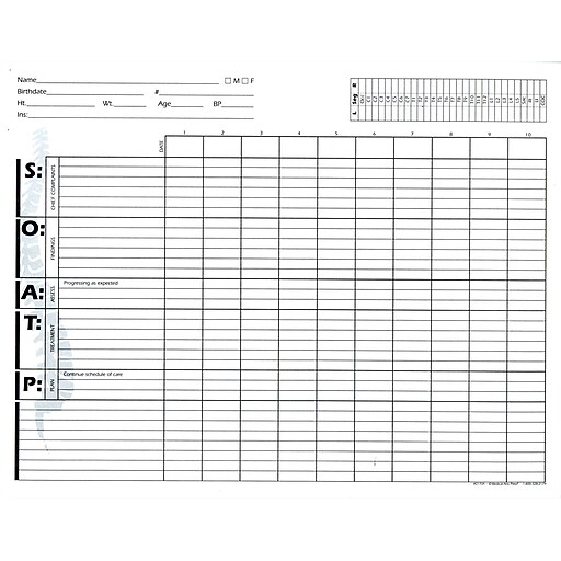Medical Arts Press Chiropractic Forms, Travel Card | Staples