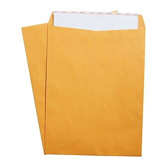 10" x 13" Envelopes | Staples