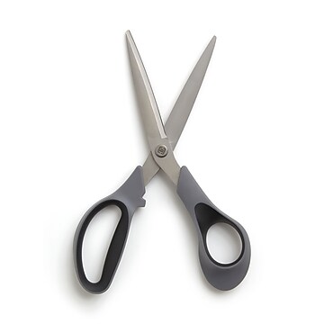 scissors | Staples