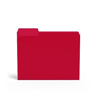 Plastic File Folder | Staples