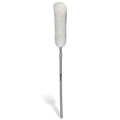 Coastwide Professional™ Extendable Lamb Wool Duster, Gray (CW56799) at ...