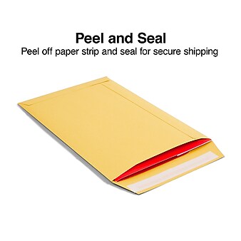6 x 9 Envelopes for Mailing | Staples