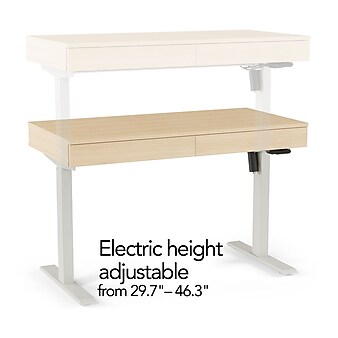 Customize Your Workspace with a Sit Stand Desk | Staples