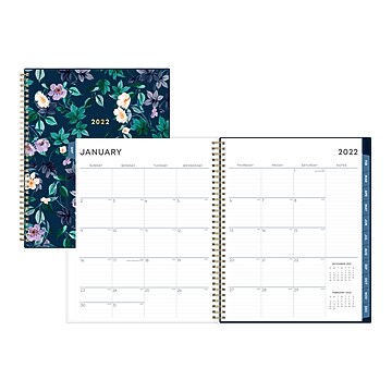 blue sky monthly planner | Staples