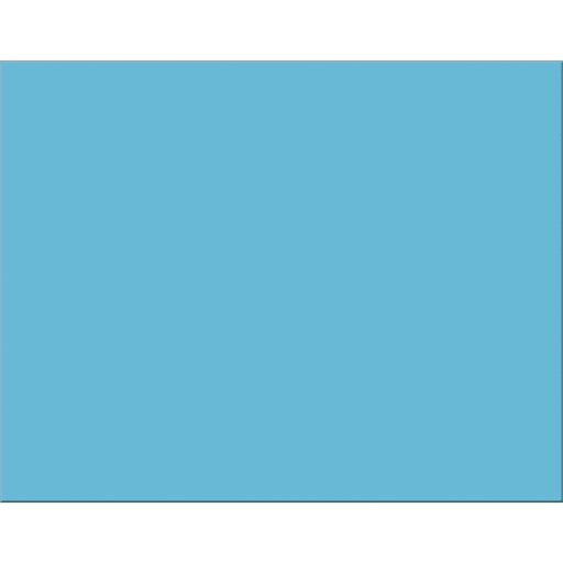 Pacon 4-Ply Poster Board, 22" x 28", Light Blue, 25 Sheets (PAC54841 ...