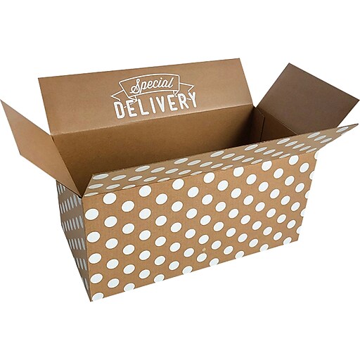 Happy Mail Shipping Box, Polka-Dot, 12" x 6" x 6" (246462) | Staples
