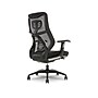 Beautyrest Duo-EX Ergonomic Mesh Swivel Task Chair, Black/Gray ...