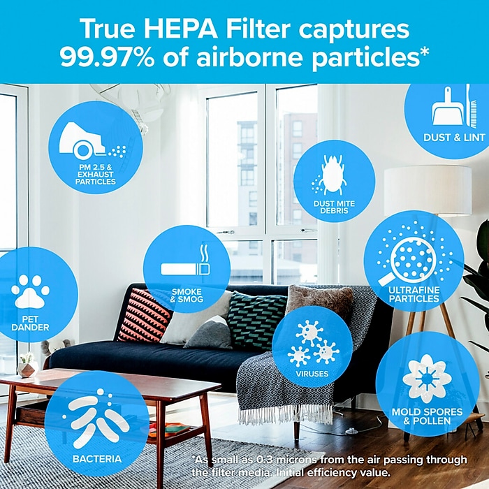 Filtrete True HEPA RAP Filters True HEPA Air Purifier Filter 12 x 6.75 x 2 FAPF F1N 4 Staples