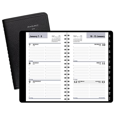 AT-A-GLANCE® DayMinder® Weekly Pocket Appointment Book/Planner, 12 ...