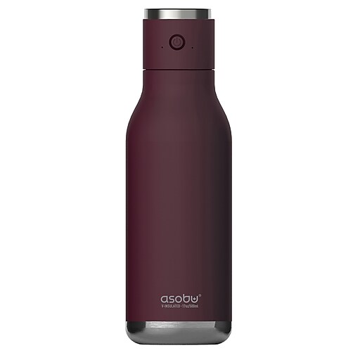 ASOBU Stainless Steel Vacuum Insulated Water Bottle, 17 oz., Purple ...